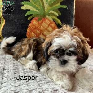 Wendy Rust - Greenfield Puppies